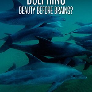 Dolphins: Beauty Before Brains?