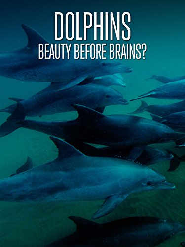 Dolphins: Beauty Before Brains?