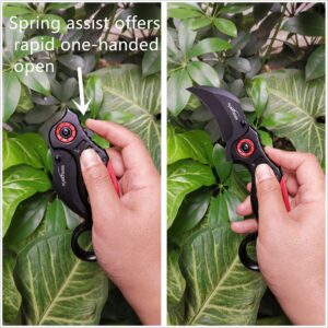 ALBATROSS EDC Cool Spring Assisted Folding Pocket Knives Tactical Sharp Raptor Claw Knife (Black)