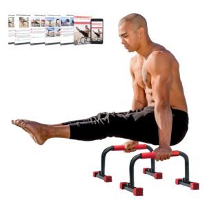 rubberbanditz parallette, parallel bars & dip station | at home gym workout equipment, l-sit bars & calisthenics equipment for home. perfect for push ups, dips, handstands & gymnastics.