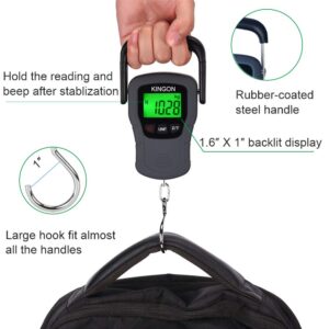 Digital Hanging Luggage Scale with Comfortable Handle and Large Hook, 110lb/50kg, Backlit Portable Scale for Travel Fishing with Tare/Hold Function, AAA Batteries Included, Grey