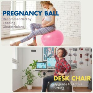 ProBody Pilates Ball Exercise Ball, Yoga Ball Chair, Multiple Sizes Stability Ball Chair, Gym Grade Birthing Ball for Pregnancy, Fitness, Balance, Workout and Physical Therapy Ball (Purple, 65cm)