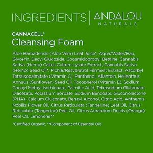 CannaCell® Cleansing Foam