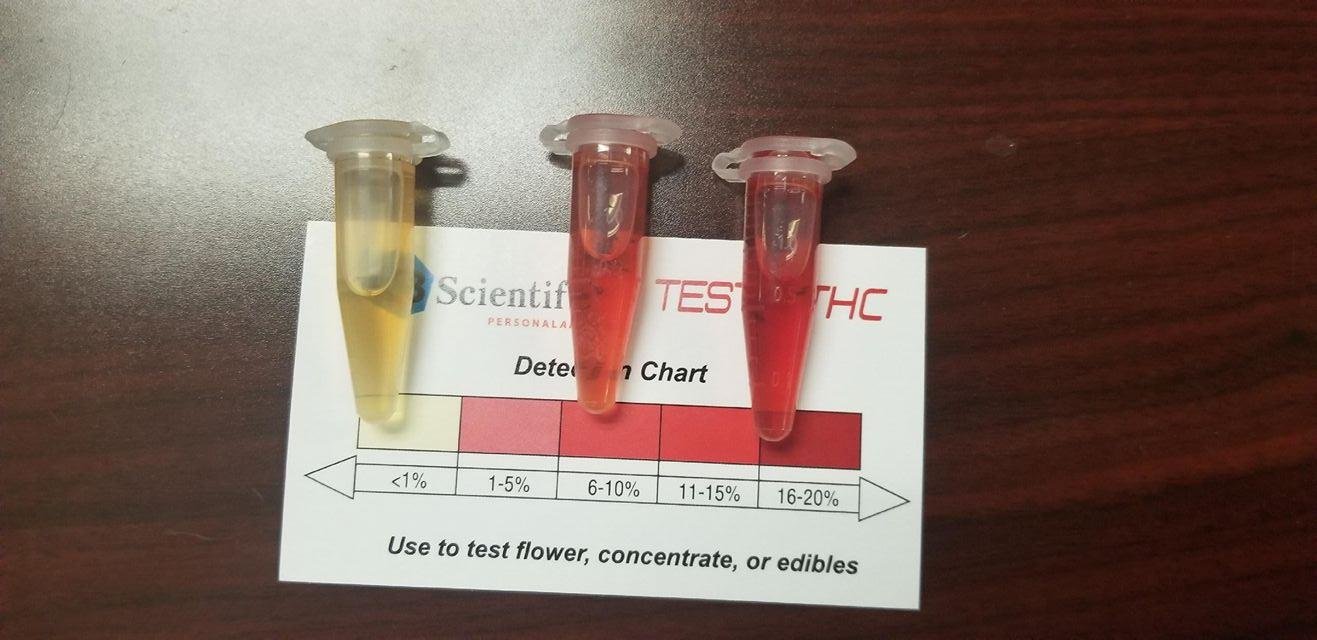 THC/CBD Combo Detection KIT