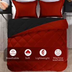 downluxe Twin Comforter Set - Red and Black Twin Comforter, Soft Bedding Sets for All Seasons - 2 Pieces - 1 Comforter (66"x92") and 1 Pillow Sham(20"x26")