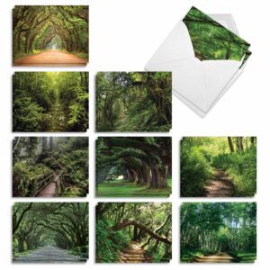 the best card company - 20 landscape nature note cards blank (4 x 5.12 inch) (10 designs, 2 each) - nature trails am6467ocb-b2x10