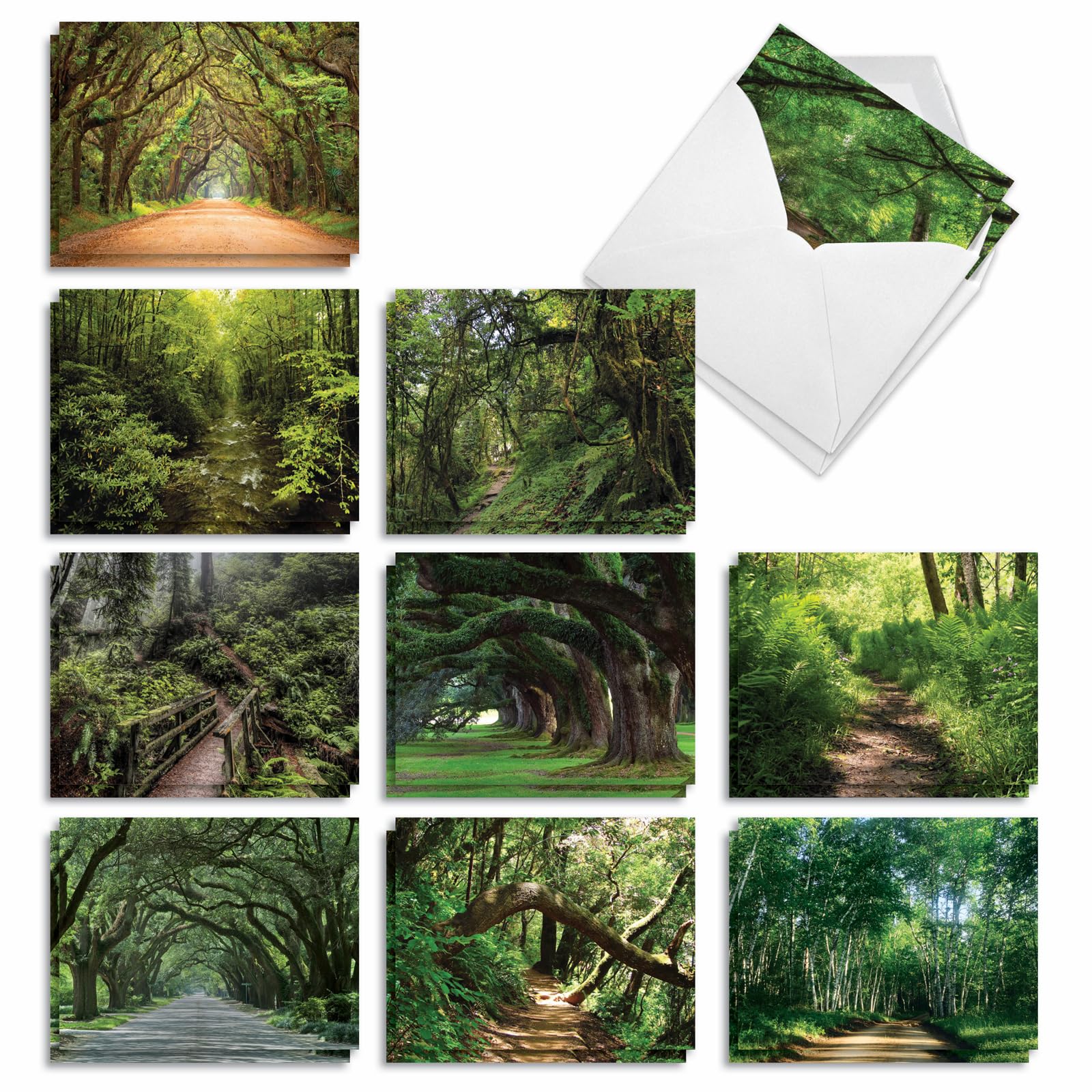 The Best Card Company - 20 Landscape Nature Note Cards Blank (4 x 5.12 Inch) (10 Designs, 2 Each) - Nature Trails AM6467OCB-B2x10