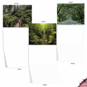 The Best Card Company - 20 Landscape Nature Note Cards Blank (4 x 5.12 Inch) (10 Designs, 2 Each) - Nature Trails AM6467OCB-B2x10