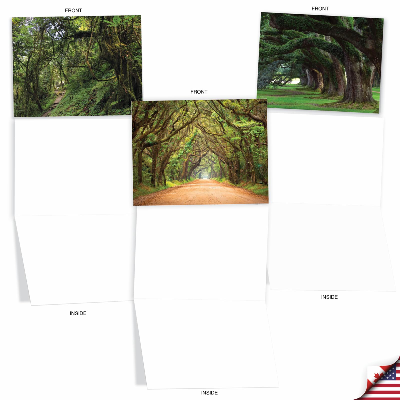 The Best Card Company - 20 Landscape Nature Note Cards Blank (4 x 5.12 Inch) (10 Designs, 2 Each) - Nature Trails AM6467OCB-B2x10