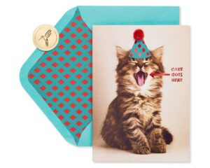 papyrus funny cat birthday card (indulge)