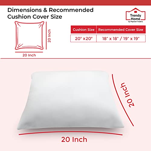 Trendy Home 20x20 Throw Pillow Insert (Set of 4, White) Bed and Couch Pillows Stuffer Hypoallergenic, Decorative Home Indoor Outdoor Sofa Pillow Filler (Non Woven, 4 Pack)