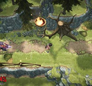 Dragons: Dawn of New Riders - PlayStation 4