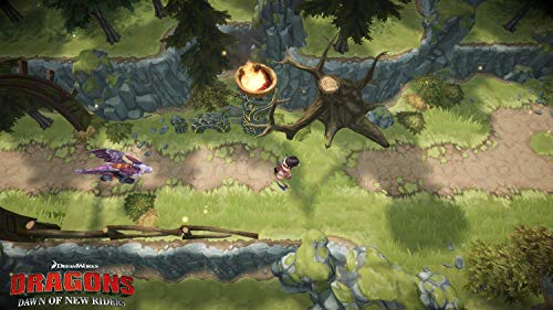 Dragons: Dawn of New Riders - PlayStation 4