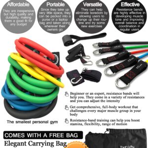 TheFitLife Exercise Resistance Bands with Handles - 5 Fitness Workout Bands Stackable up to 110/150 lbs, Training Tubes with Large Handles, Ankle Straps, Door Anchor Attachment, Carry Bag (110 LBS)