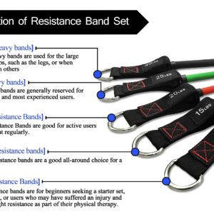 TheFitLife Exercise Resistance Bands with Handles - 5 Fitness Workout Bands Stackable up to 110/150 lbs, Training Tubes with Large Handles, Ankle Straps, Door Anchor Attachment, Carry Bag (110 LBS)