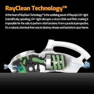 Raycop RN Bed Vacuum Cleaner with UV Light and Pulsating Brush Technology for Pet Hair Cleaning - 15Kpa Powerful Suction - Anti-allergen Handheld Mattress Vacuum Cleaner - HEPA Filtration