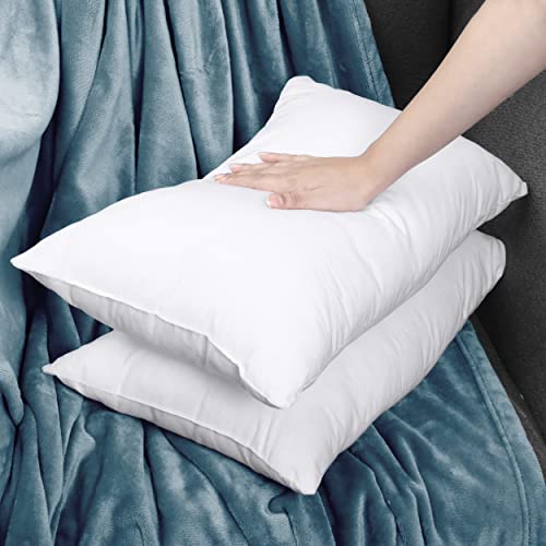 Utopia Bedding Throw Pillows Insert (Pack of 2, White) - 12 x 20 Inches Bed and Couch Pillows - Indoor Decorative Pillows