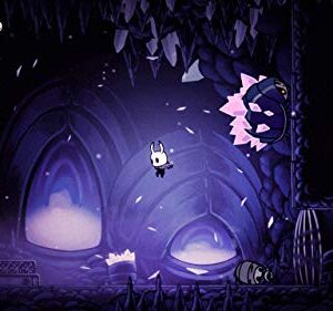 Hollow Knight (PS4)