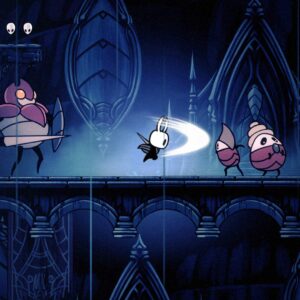 Hollow Knight (PS4)