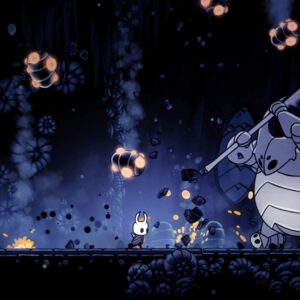 Hollow Knight (PS4)