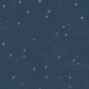 roommates rmk11319wp upon a star navy and metallic peel and stick wallpaper