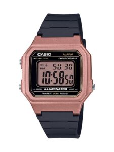 casio classic