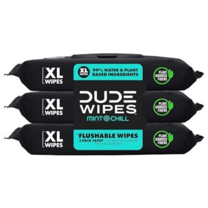 dude wipes - flushable wipes - 3 pack, 144 wipes - mint chill extra-large adult wet wipes - vitamin-e, aloe, eucalyptus & tea tree oils - septic and sewer safe