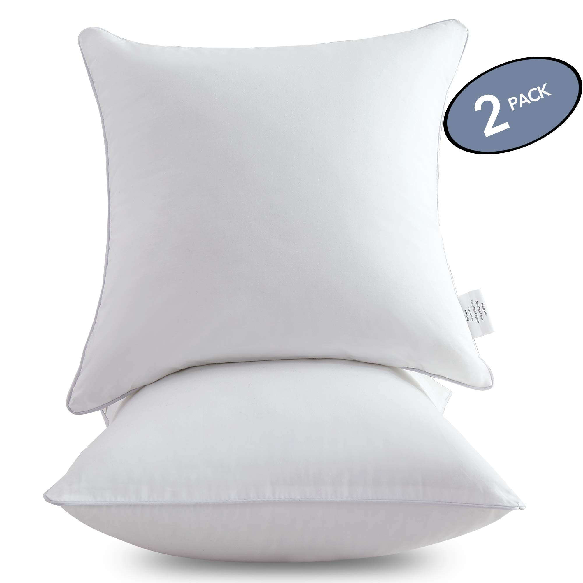 Leeden 22 x 22 Pillow Inserts (Set of 2) - Throw Pillow Inserts with 100% Cotton Cover - 22 Inch Square Interior Sofa Pillow Inserts - Decorative Pillow Insert Pair - White Couch Pillow