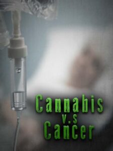 cannabis v.s cancer