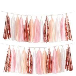 We Moment Tissue Paper Tassels Party Tassel Garland Banner for Party Decorations, DIY Kits,Pink,White,Peach,Rose glod,40 PCS