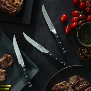 Messermeister Avanta 5” Fine Edge Steak Knife Set - German X50 Stainless Steel - Rust Resistant & Easy to Maintain - Includes 4 Steak Knives