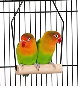 ROUND BIRD CAGE for Cockatiel Lovebird Finch Canary Aviary Budgie Parakeet (13" D x 25" H, Black)