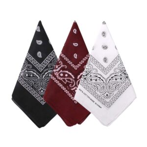 Bycc Bynn 3 Pack Pure Cotton Paisley Pattern Bandanas Square Scarf Headwear (Black + Burgundy + White)