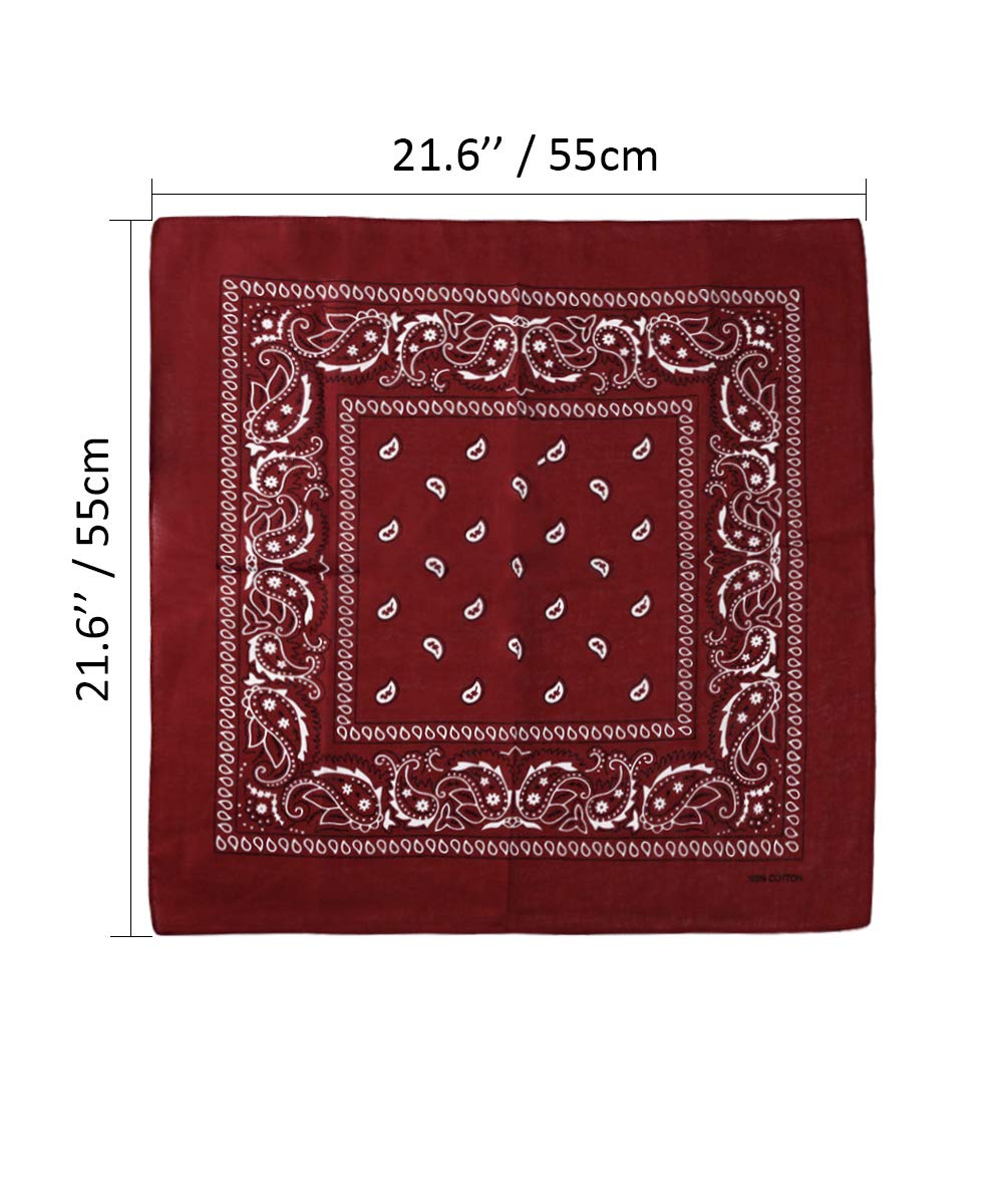 Bycc Bynn 3 Pack Pure Cotton Paisley Pattern Bandanas Square Scarf Headwear (Black + Burgundy + White)