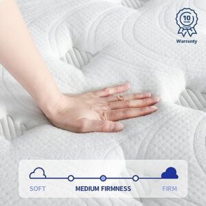 Olee Sleep Twin Mattress, 10 Inch Plush Cloud Hybrid Mattress, Gel Infused Memory Foam, Pocket Spring for Support and Pressure Relief, CertiPUR-US Certified, Bed-in-a-Box, Soft, Twin Size