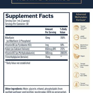 Quicksilver Scientific Methyl Charge - Methylation, Liver, Detox + Energy Supplement - Folate, Vitamin B12, Riboflavin, Vitamin B6 + TMG Supplement with Superior Absorption - Vegan B Vitamins (50ml)