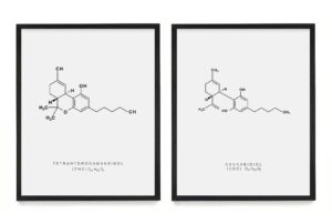 - cannabis thc & cbd molecule poster print - scientific wall art - house home décor - housewarming gift - set of 2 8x10 unframed art prints