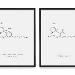 - Cannabis THC & CBD Molecule Poster Print - Scientific Wall Art - House Home Décor - Housewarming Gift - Set of 2 8x10 Unframed Art Prints