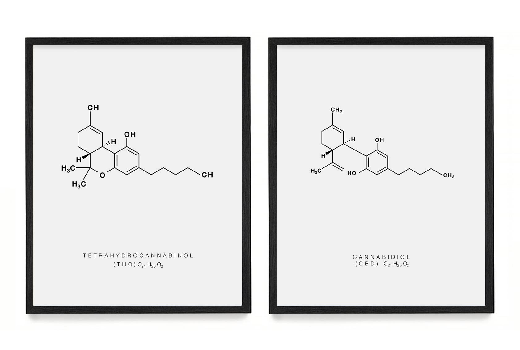 - Cannabis THC & CBD Molecule Poster Print - Scientific Wall Art - House Home Décor - Housewarming Gift - Set of 2 8x10 Unframed Art Prints