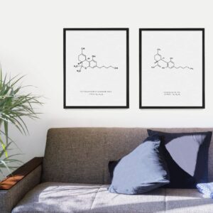 - Cannabis THC & CBD Molecule Poster Print - Scientific Wall Art - House Home Décor - Housewarming Gift - Set of 2 8x10 Unframed Art Prints