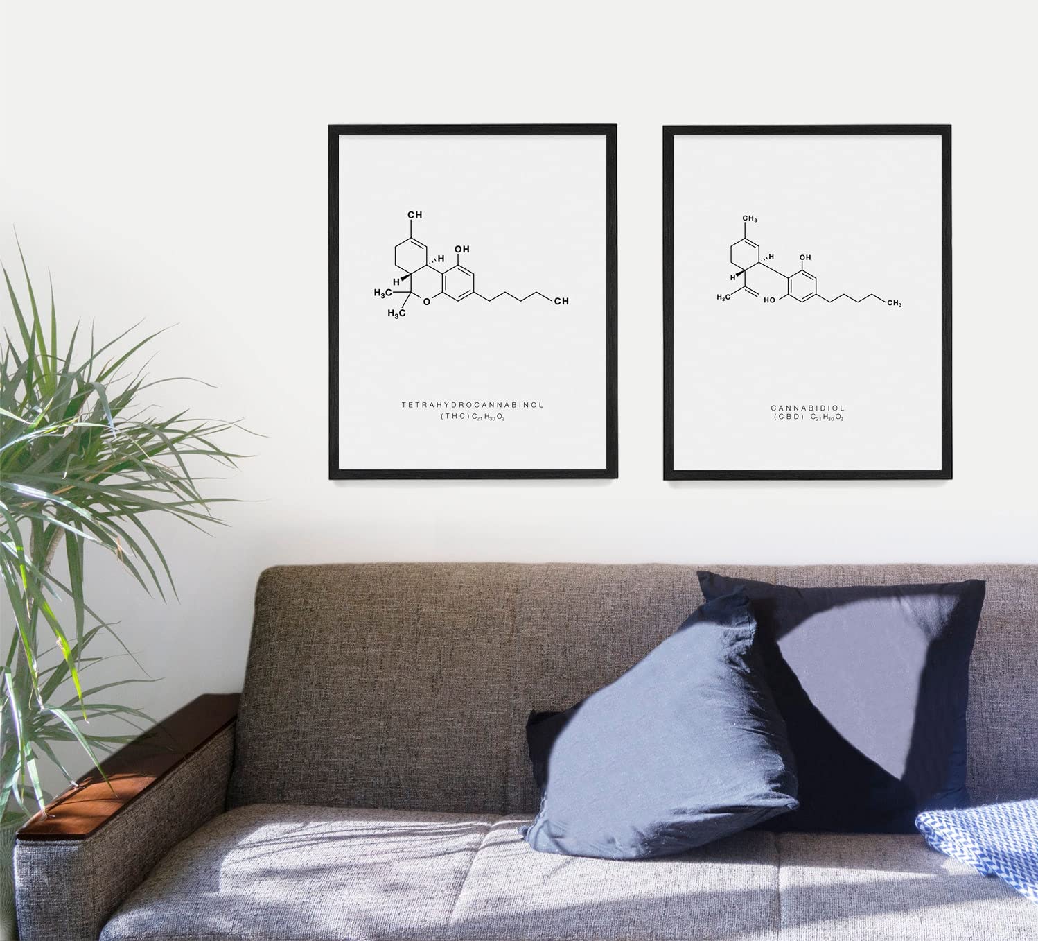 - Cannabis THC & CBD Molecule Poster Print - Scientific Wall Art - House Home Décor - Housewarming Gift - Set of 2 8x10 Unframed Art Prints