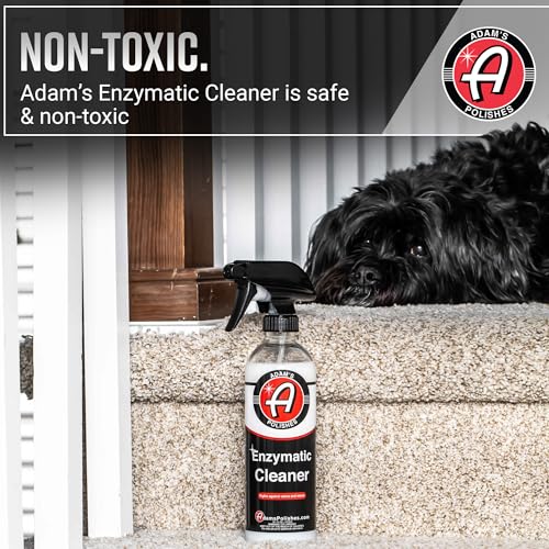 Adam's Polishes Enzymatic Cleaner 16oz - Eliminate Stains & Odors From Extreme Bio-Based Messes - Water-Based, Non-Toxic All Purpose Interior Cleaner - Safe On All Surfaces In Your Home or Vehicle