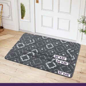 DEXI Door Mats Indoor, Absorbent Non Slip Front Door Rugs for Inside House, Low Profile Easy Clean Entrance Mat, 48"x32", Grey