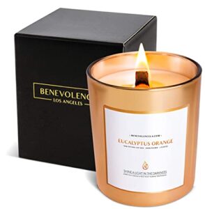 benevolence la clearance candles | eucalyptus & orange wood wick candles | jar candle, 6 oz summer candles, natural candles for women, scented candle for home scented | aromatherapy candles