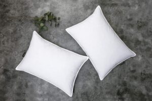 snug&cozy grey goose feather down pillows for sleeping(2 pack)- standard size(20in×26in), goose feather&down filling, 100% cotton cover, 100% down proof, machine wash, white