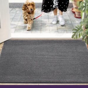 DEXI Door Mat Entryway Doormat Front Entrance Non-Slip Low Profile Washable for Inside Entry 19.5"x31.5",Grey