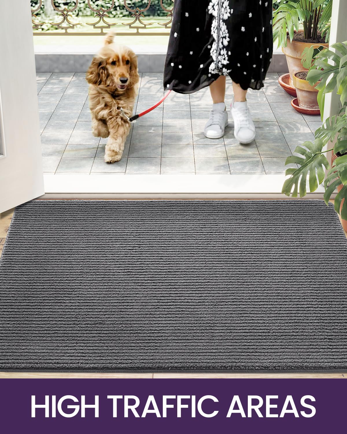 DEXI Door Mat Entryway Doormat Front Entrance Non-Slip Low Profile Washable for Inside Entry 19.5"x31.5",Grey