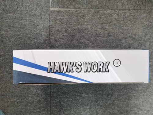 HAWK'S WORK 2 CH RC Airplane, F-22 Plane Ready to Fly, 2.4GHz Remote Control, Easy to Fly RC Glider for Kids & Beginners