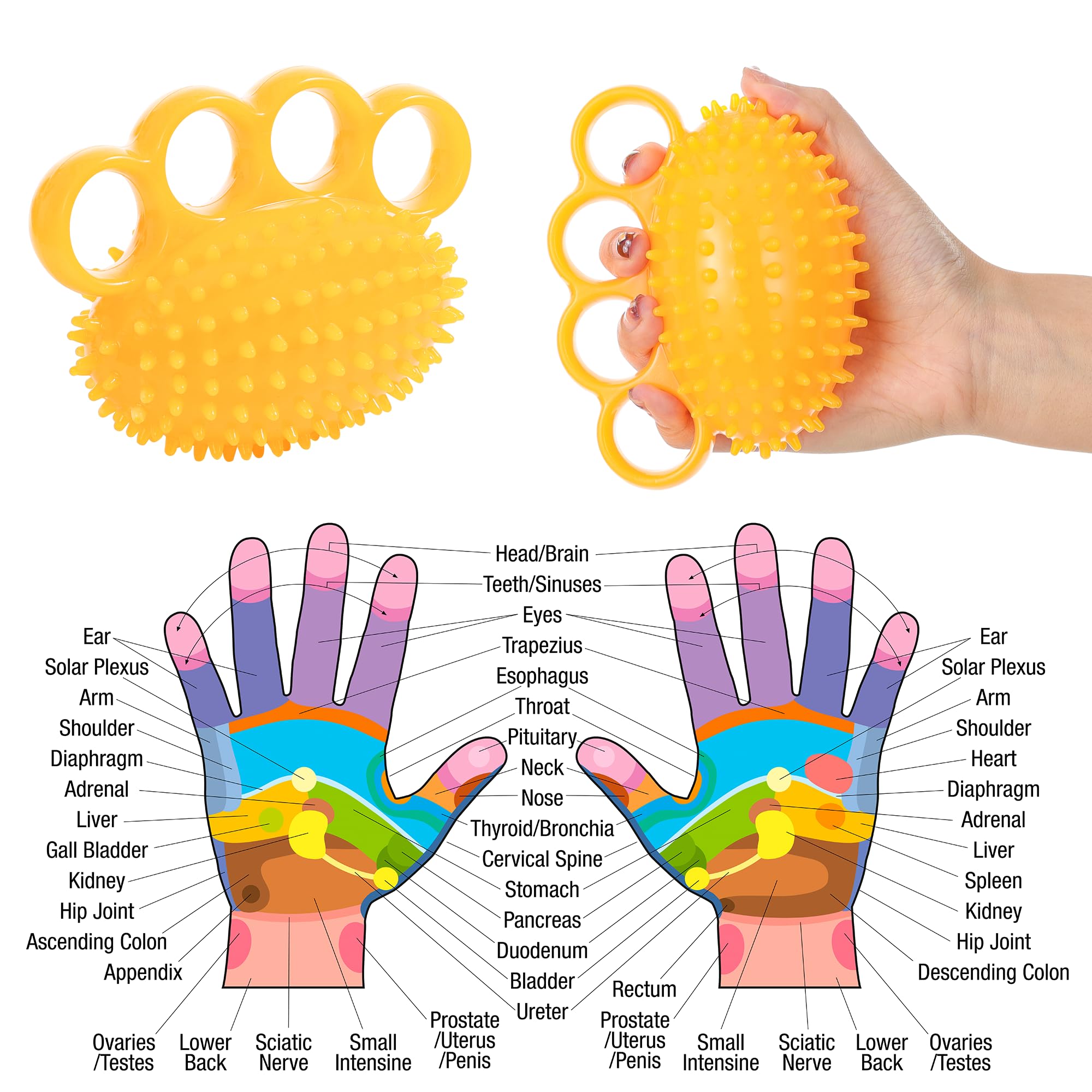 Exercise Handball, Hand Strengthener Ball, Palm and Finger Rehabilitation Therapy. Auxiliary Item After Surgery, Arthritis and Carpal Tunnel Syndrome