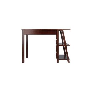 Winsome Wood Aldric Home Office, Walnut